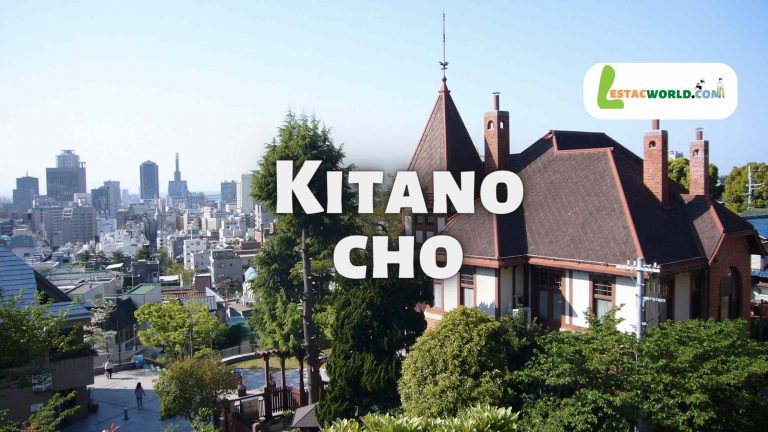 Important to know about Kitano cho | Japan