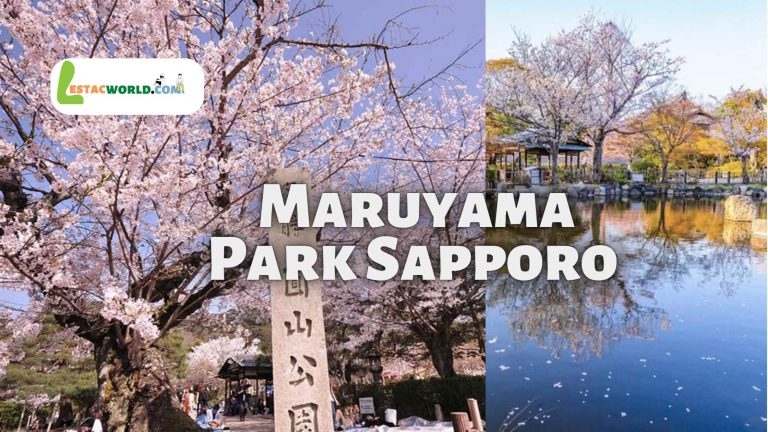 Important to know about Maruyama Park Sapporo | Japan